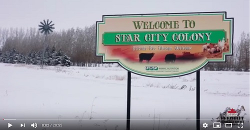 SK Cattle Feeders Association - Feb 16 - Virtual Tour - Star City ...